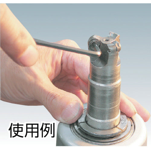 Hex Lobe Wrench TTW-9S TRUSCO – KITAL